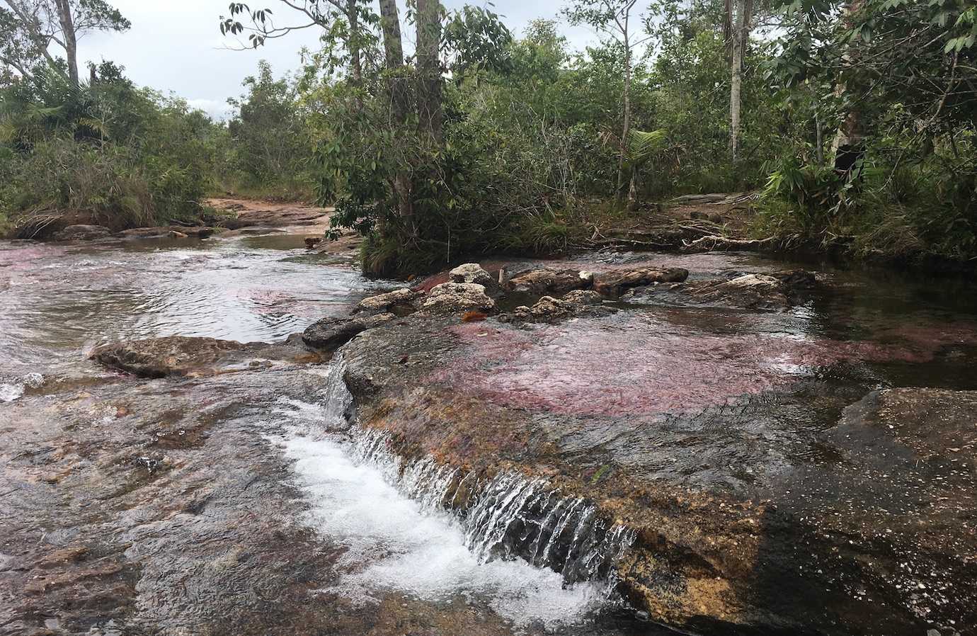 Caño Cristales - Colombia's Rainbow River - The Travelling Triplet