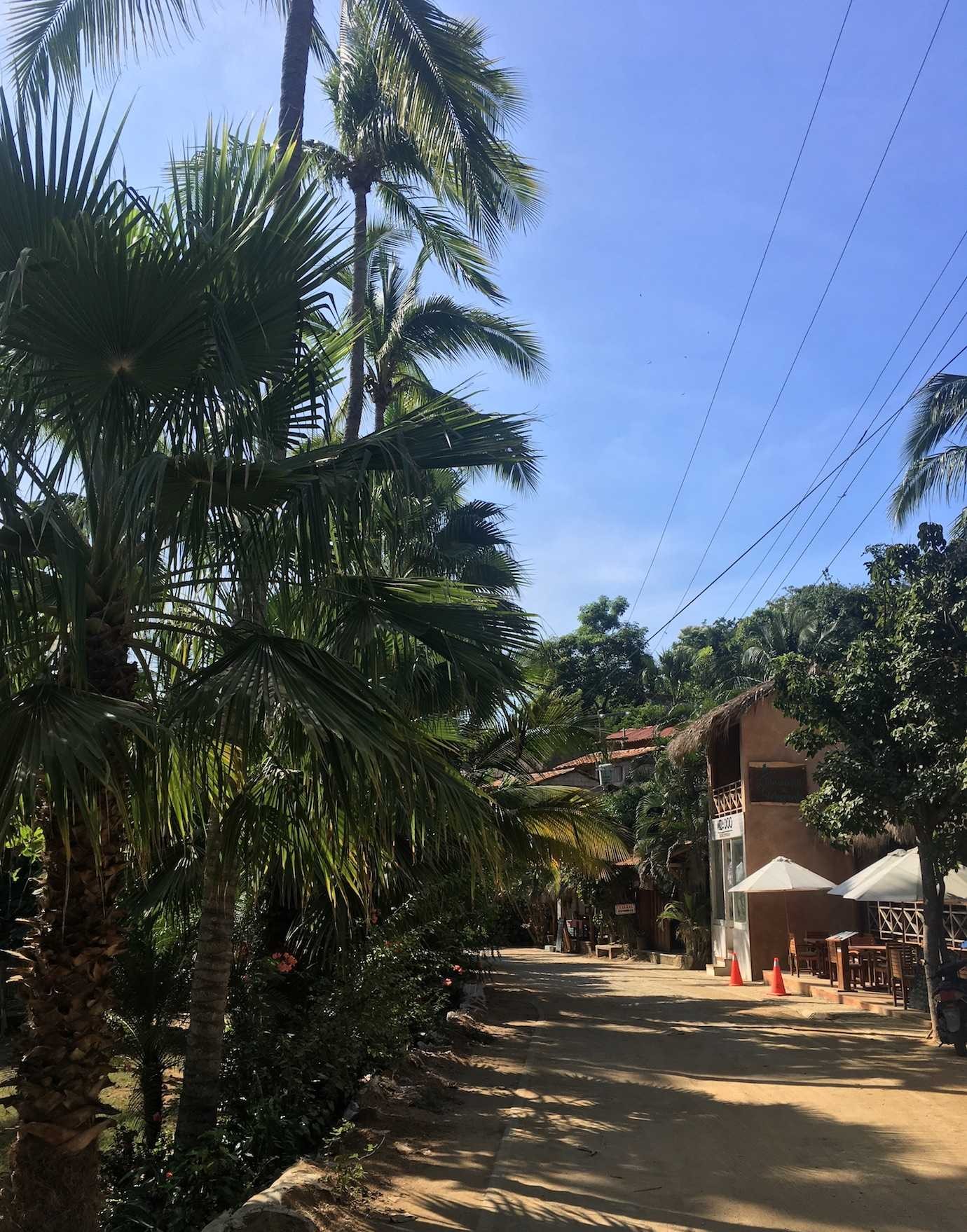Five Days in Mazunte - The Travelling Triplet